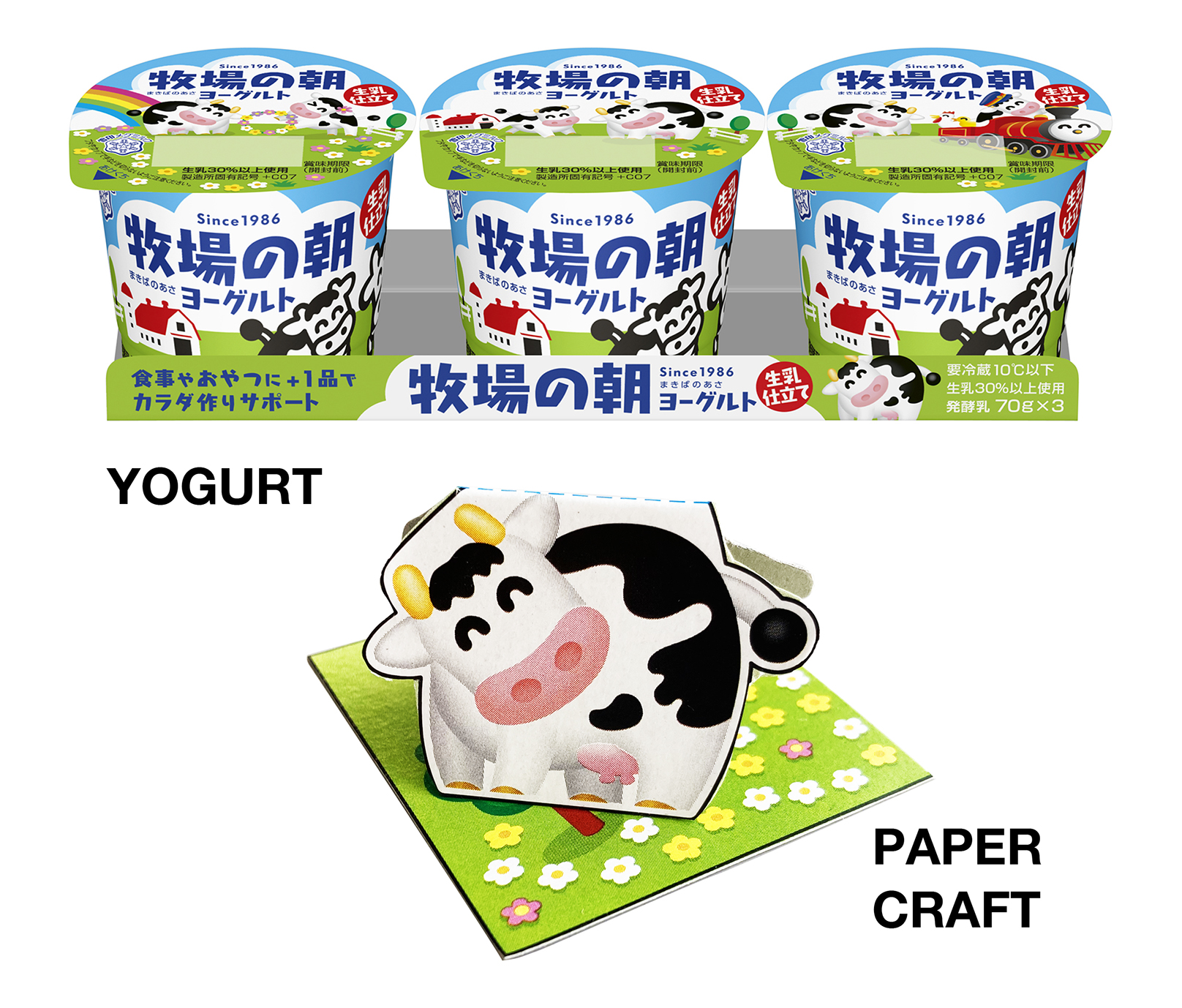 WorldStar Winner: Re-using MAKIBANOASA Yogurt packaging trays as for ...