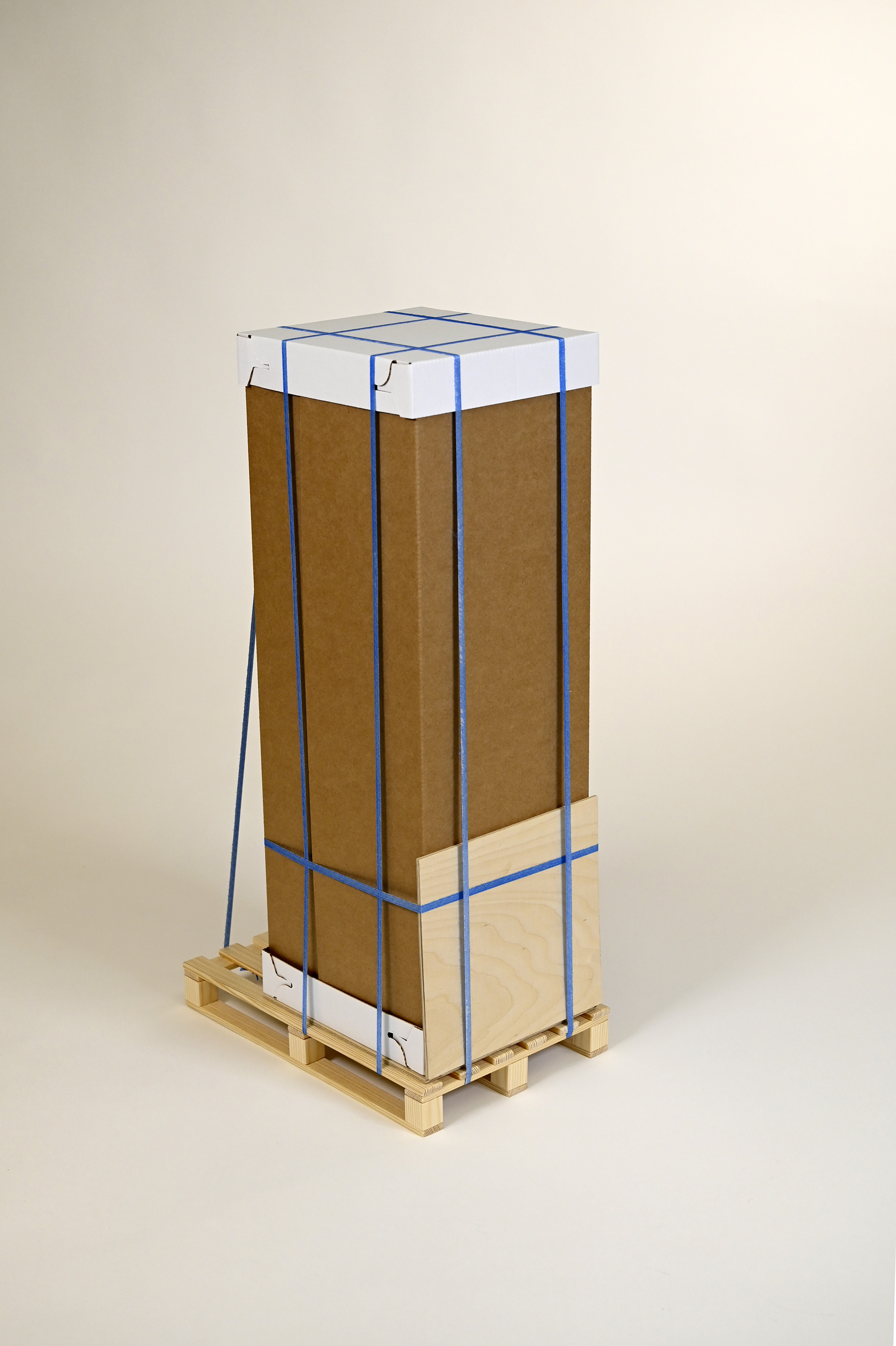 WorldStar Winner: Transport packaging for intelligent fridge